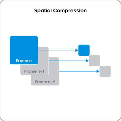What is Spatial Compression? | Nevion